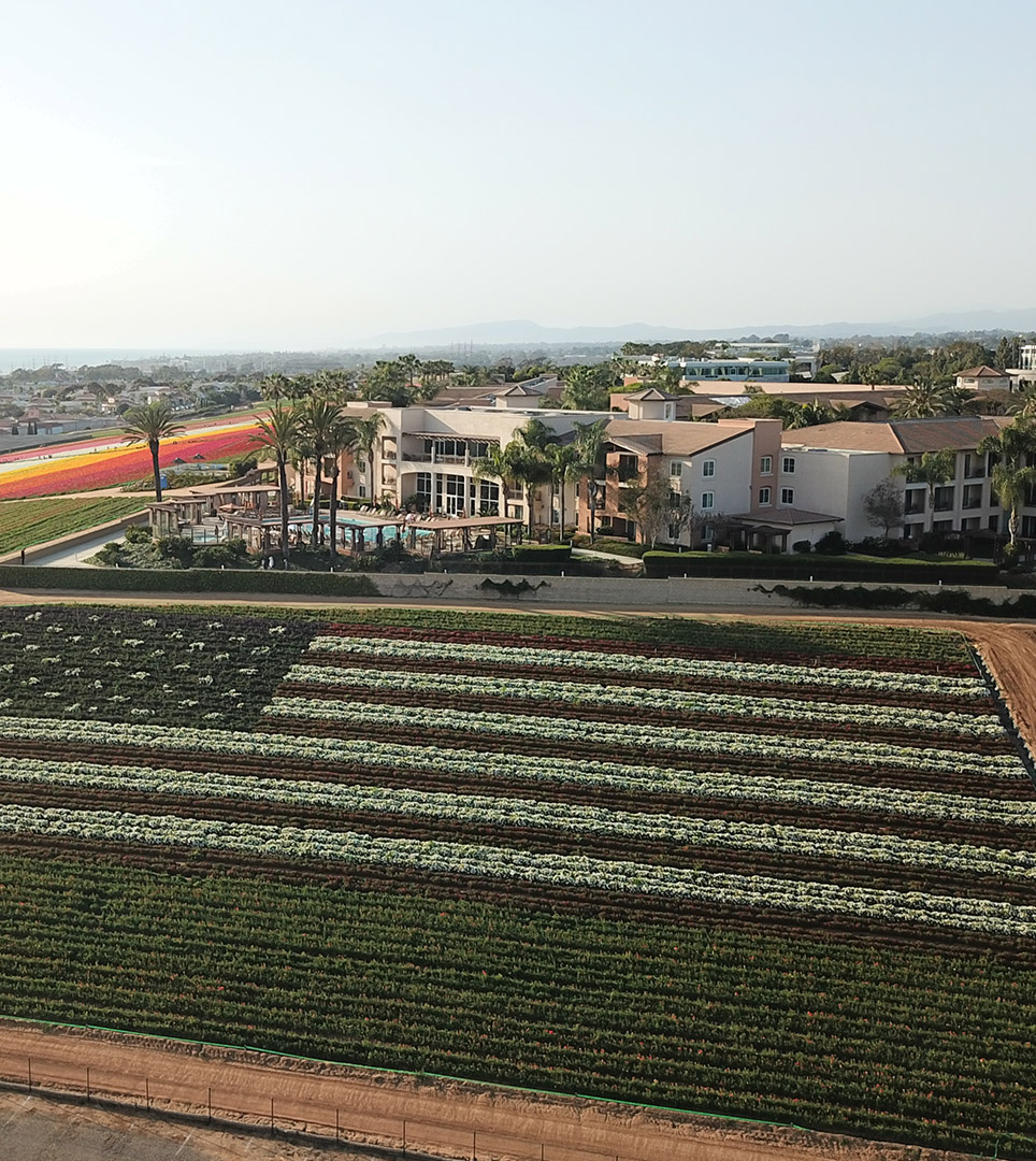 Hilton Grand Pacific Palisades Resort Grand Pacific Palisades Resort